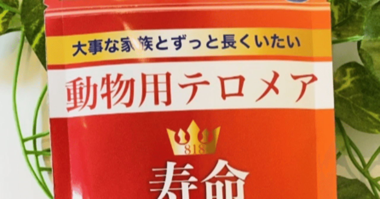 ペットのサプリメント｜dgnfj