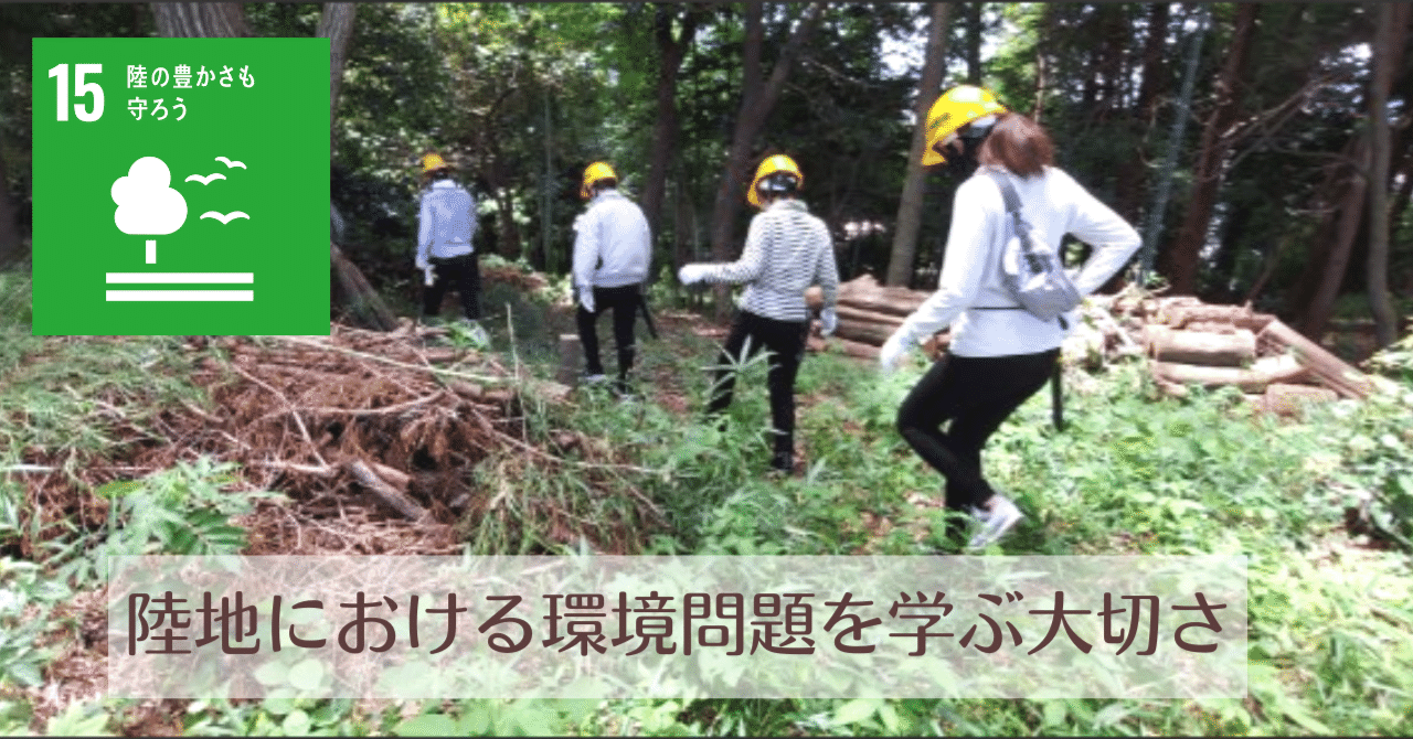 森林整備ボランティアに参加しました！｜ZWEI（ツヴァイ）公式note