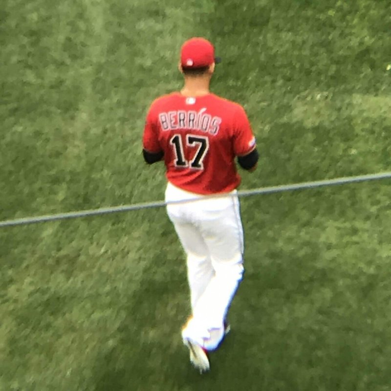 【MLB30球場全部行く】ミネソタ・ツインズ(5/30)｜みーがん