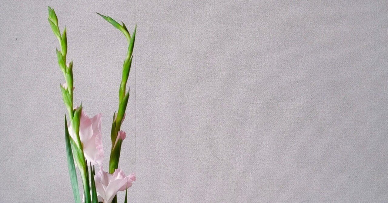 グラジオラス｜shio｜note