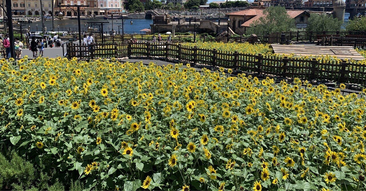 不安感を解消したい人におすすめnote｜Koki