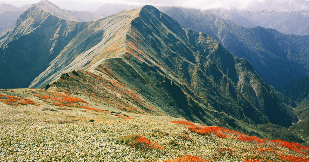 最近読んだ本「わたしの山旅 広がる山の魅力・味わい方」仲川希良さん作品｜星のきのこ
