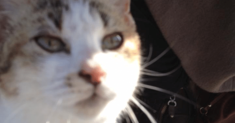 自己表現と発信は違う｜YUI-KICHI★