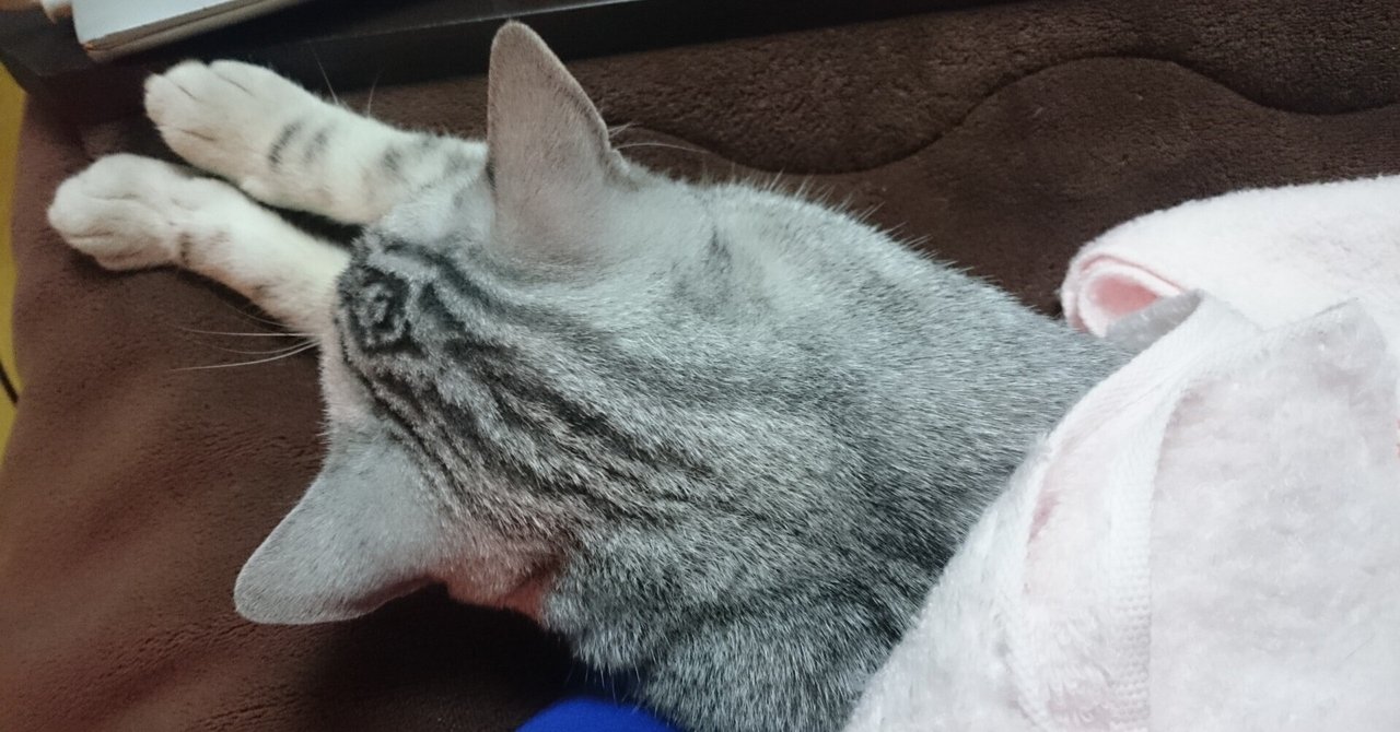 奇跡講座WB実践73 私は光が現れることを意志する｜(Linp&Ruru)本当の自分を知り、本当の自分として生きる