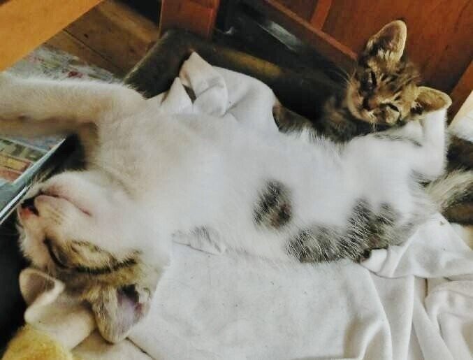 アプリで出会い、3回目デートが一度お流れになった好感度は高めの男子に 「仕事のシフト決まるのが遅くて、次の休みが合うかなぁ」 とLINEで言わ ...