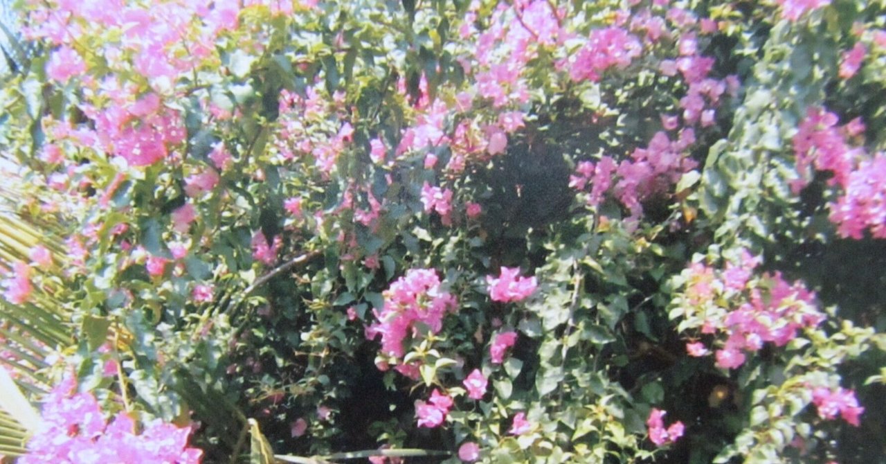 7. 友情｜ayano_leizen 冷泉文野