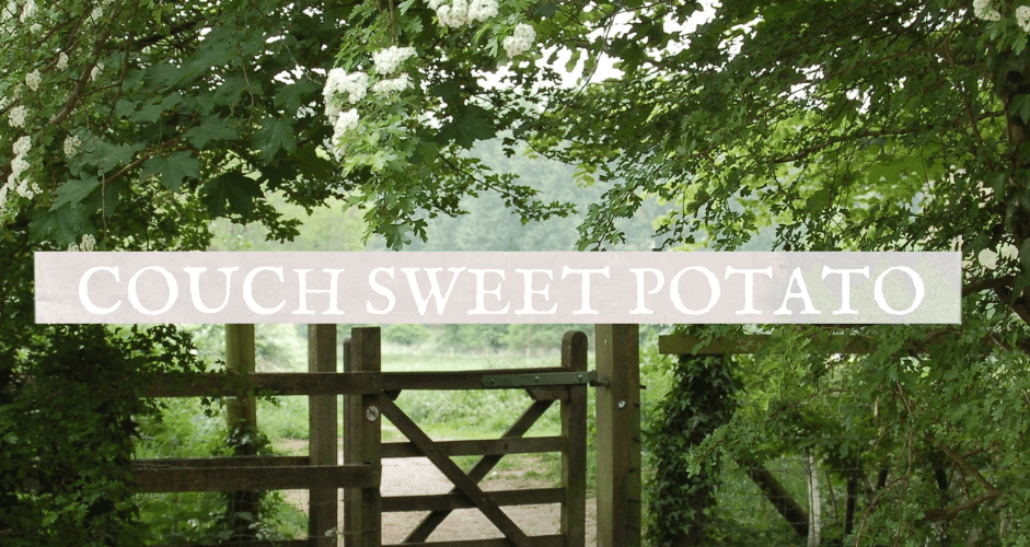 Couch Sweet Potato｜note