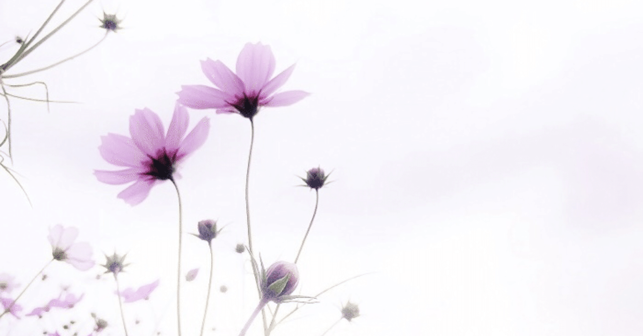 今朝おもったこと。。。｜umi no oto｜note