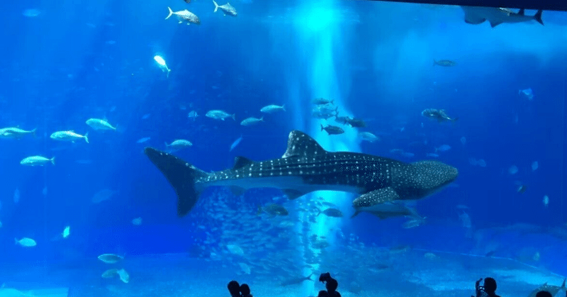 古沢広祐（Furusawa Koyu）｜note