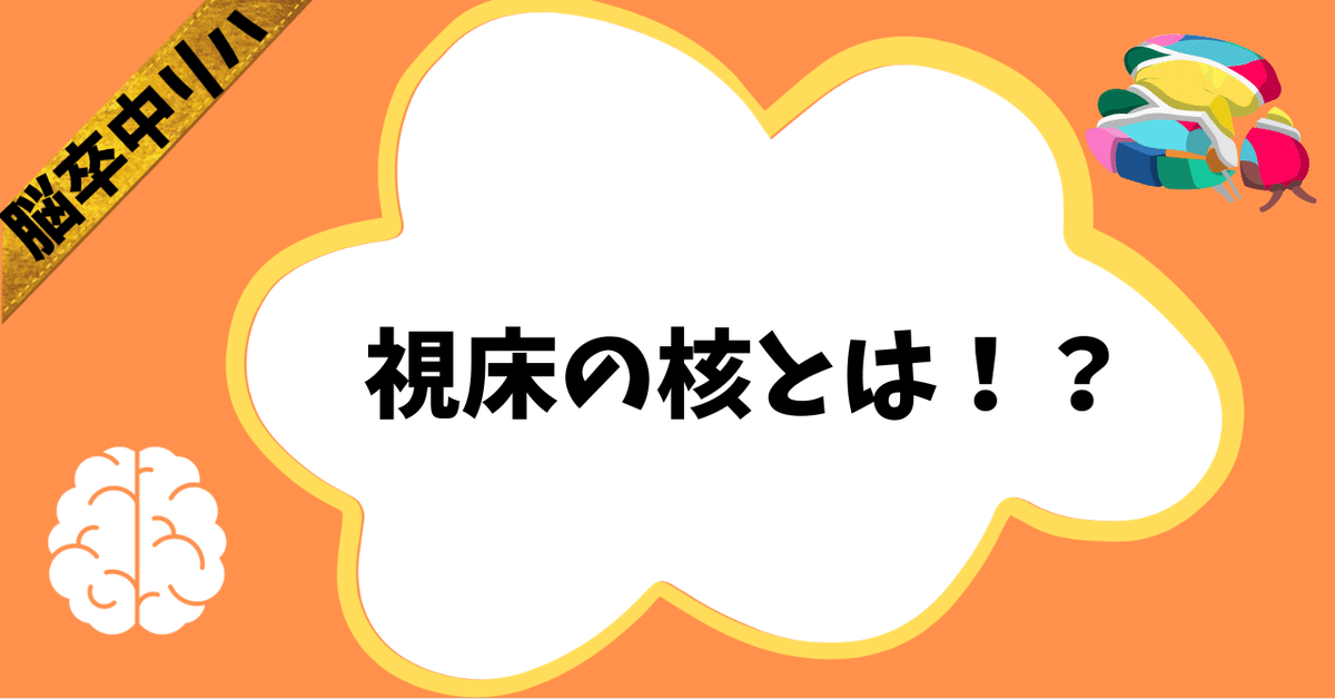 視床の核とは！？｜yucco《レポート&動画》