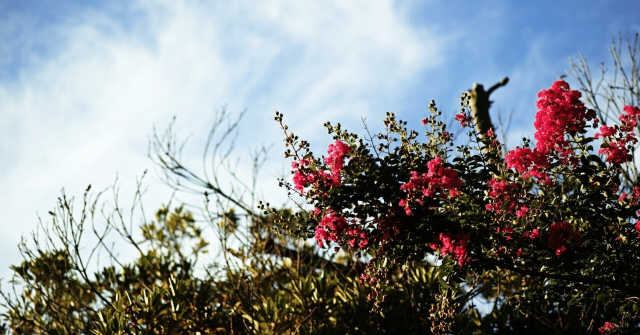 Good Sunshine(Original Lyrics)｜Cota Note｜note