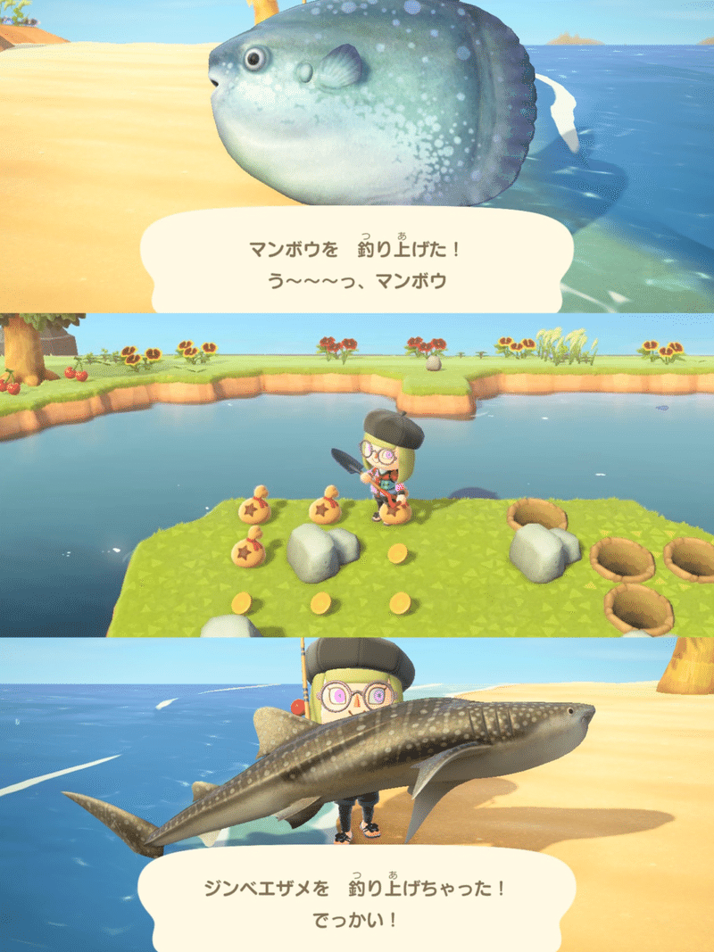 【あつ森】新しい住民を探しに。その2｜Elena｜note