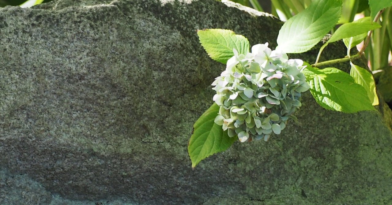 TypeScript 入門の記録（31）プロを目指す人のためのTypeScript入門（16）論理演算子｜jnkykn