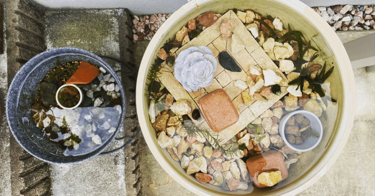 【メダカ】ビオトープのレイアウト変更｜shimpei ito｜note