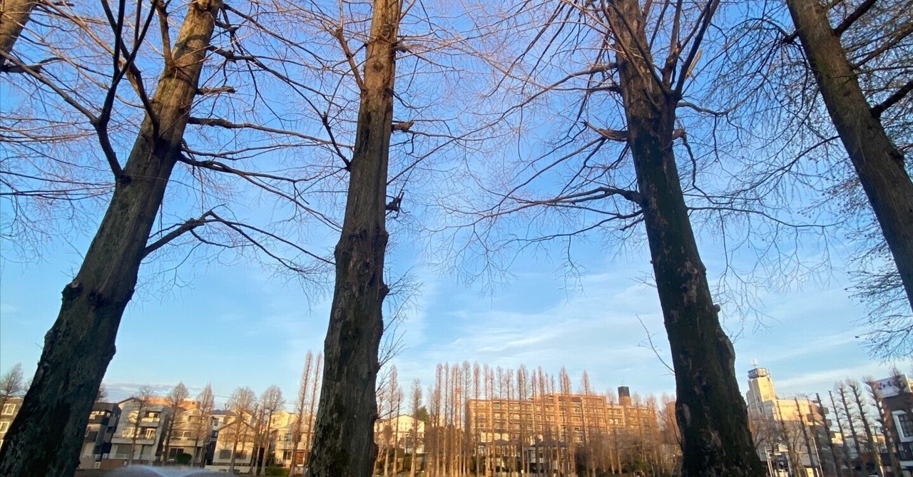 本屋さん｜Tatsuki Kitahara