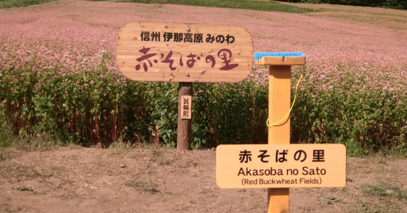 赤そば 長野県箕輪町｜honami nakai