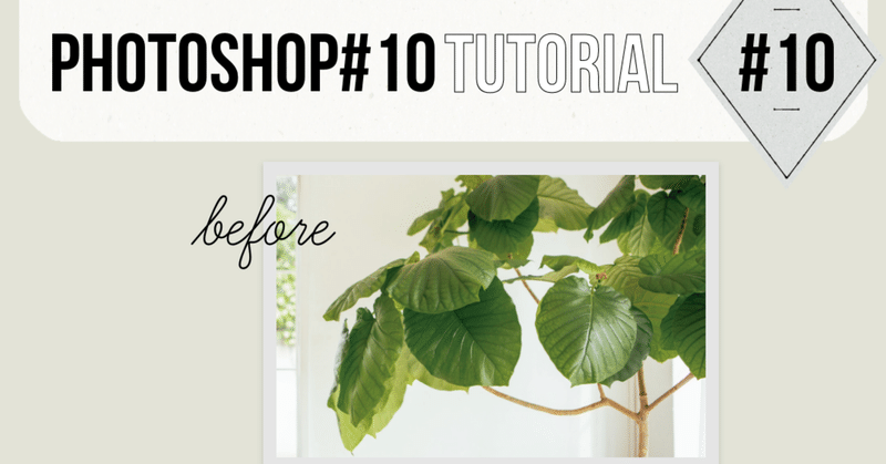 Taniweb制作｜note