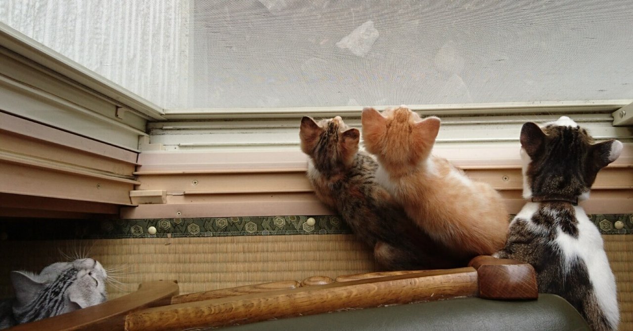 奇跡講座WB実践79 問題が解決されるように、私が問題を認識できますように｜(Linp&Ruru)本当の自分を知り、本当の自分として生きる