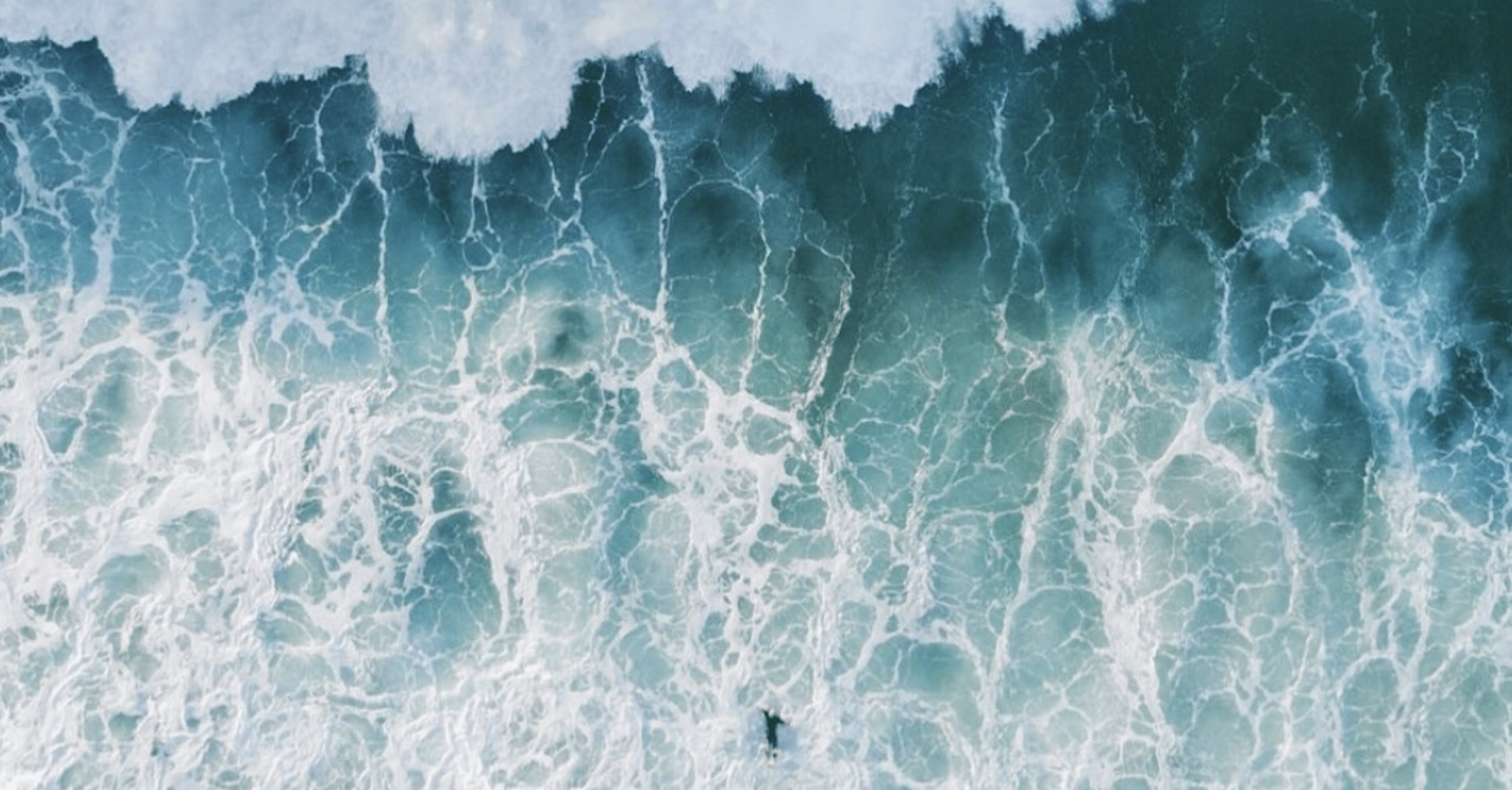 enjoy_tanihiro｜note