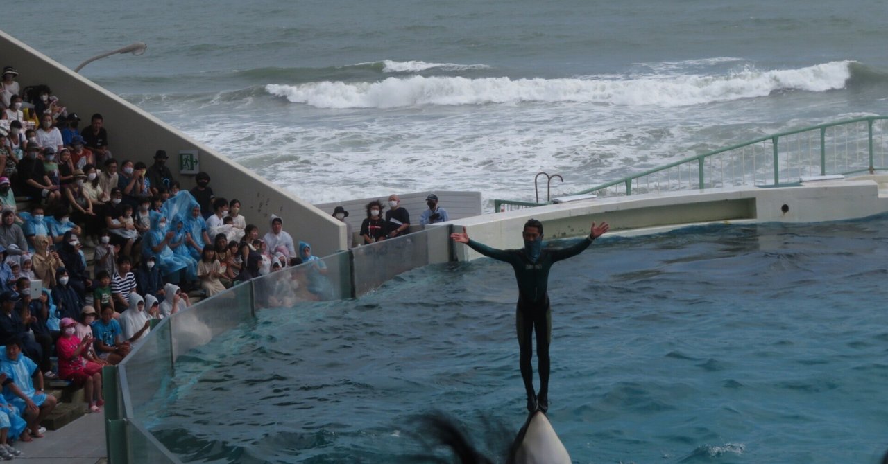 【9月19日㈪】ZWIFT、鴨川シーワールド｜T_Matsu