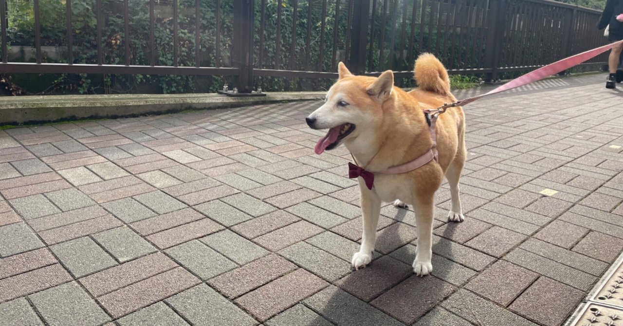 涼しくなってきたしお出かけしたいなー｜Kana_days｜note