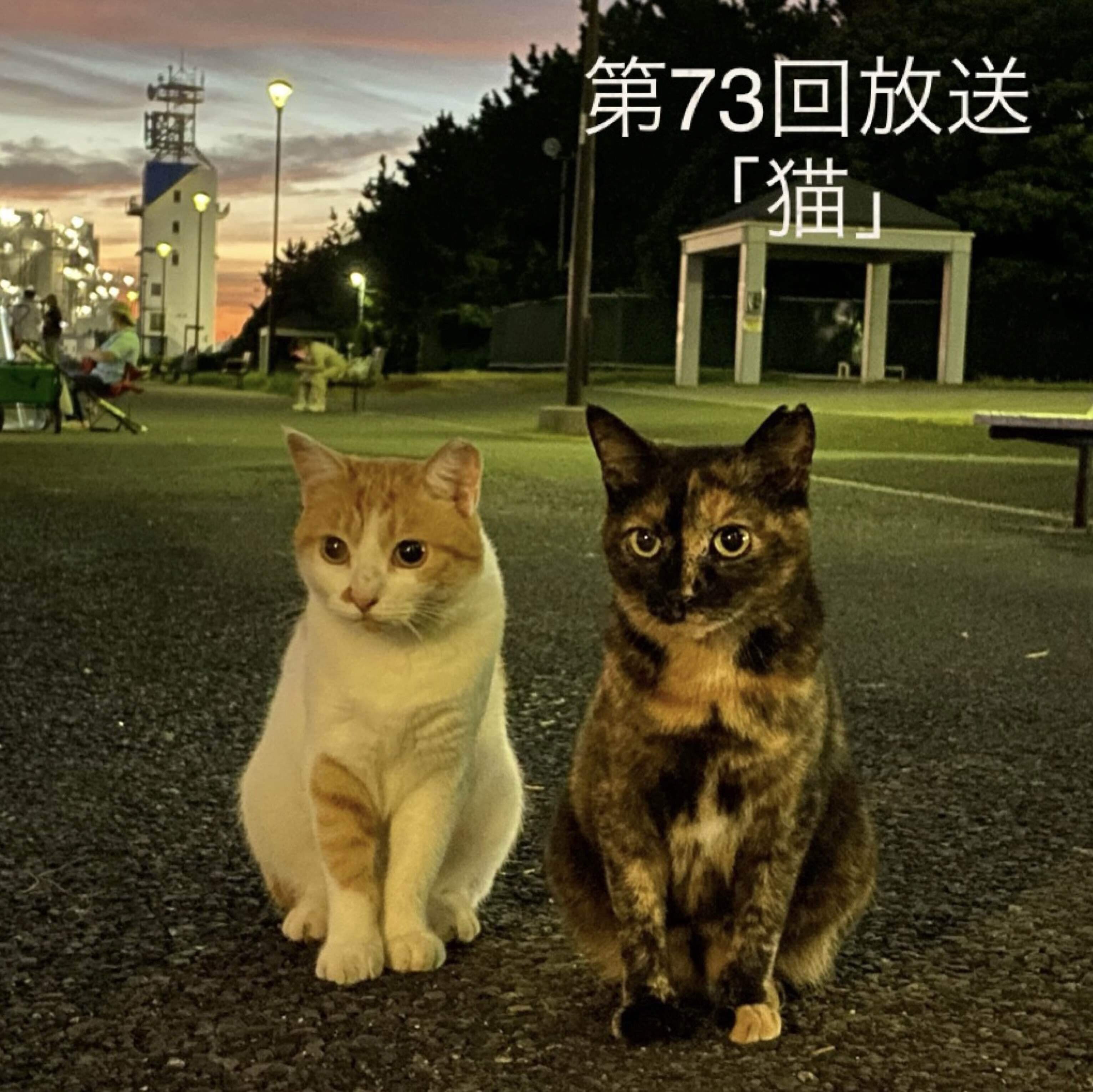 第73回放送「猫」｜ネットラヂオ旅の鳴る木｜note