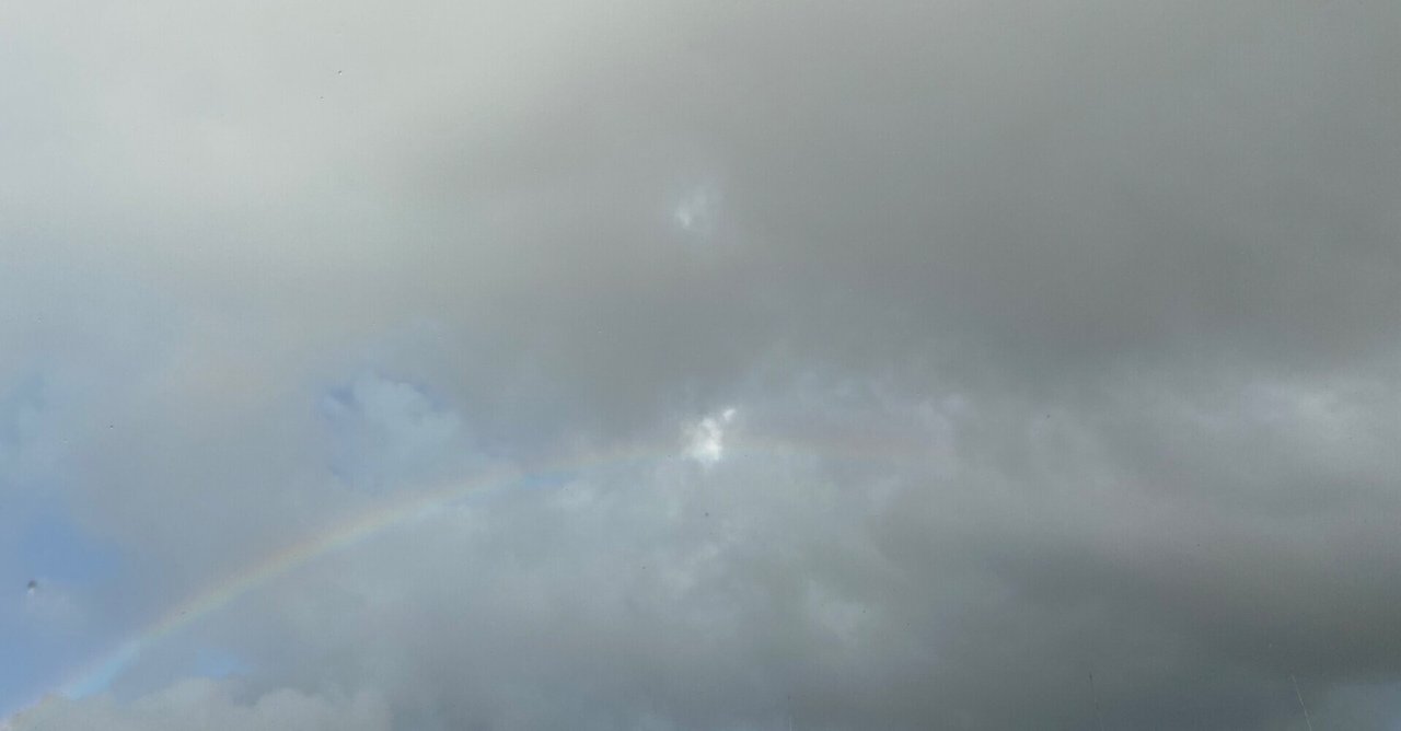 さらに心強くなった｜starseed Sachi介護日記