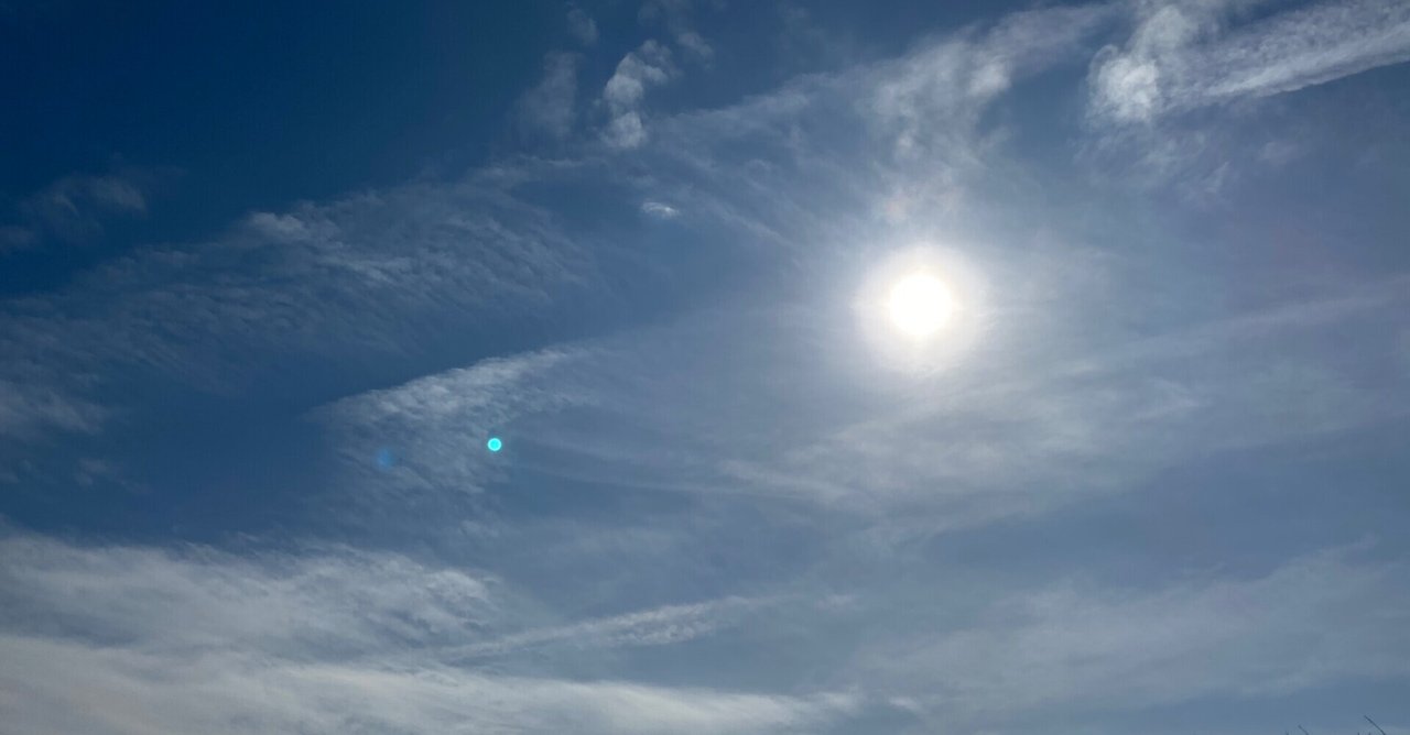 直感を気のせいにしてしまった｜starseed Sachi介護日記