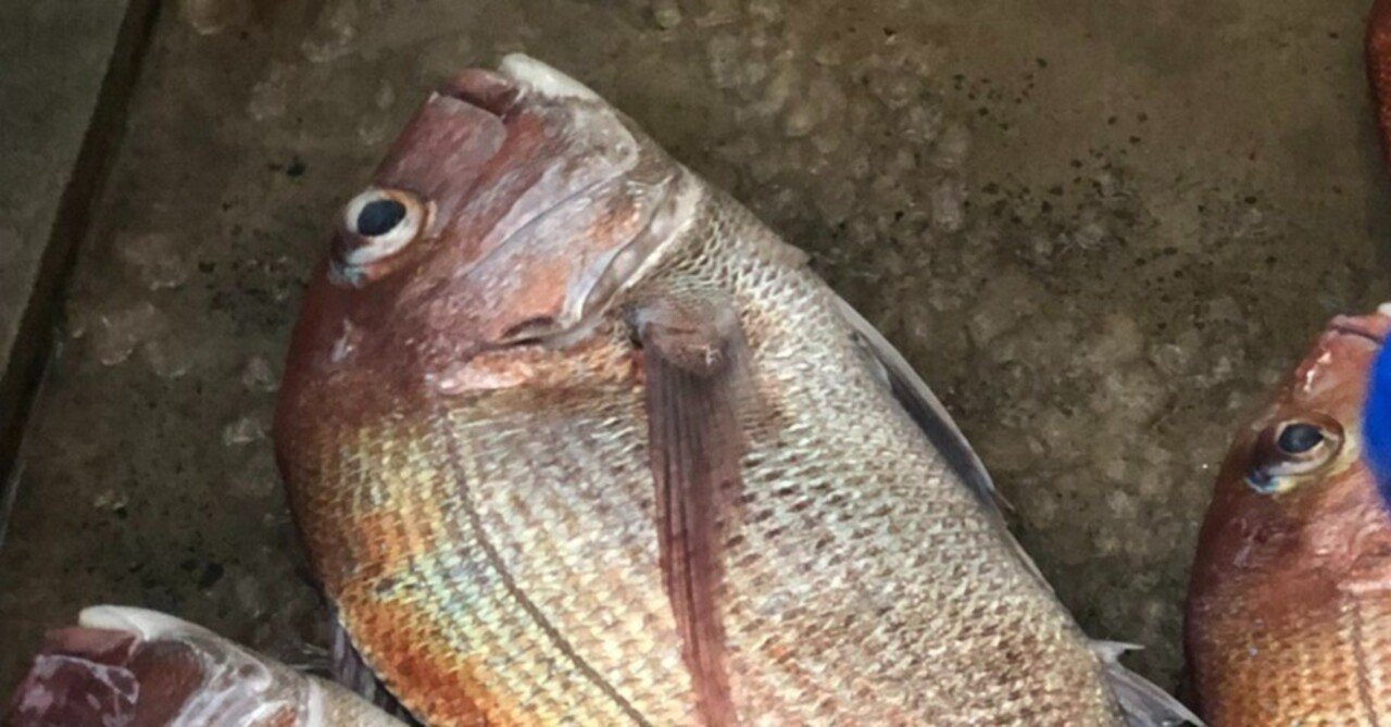 Hideyuki Shibata｜note