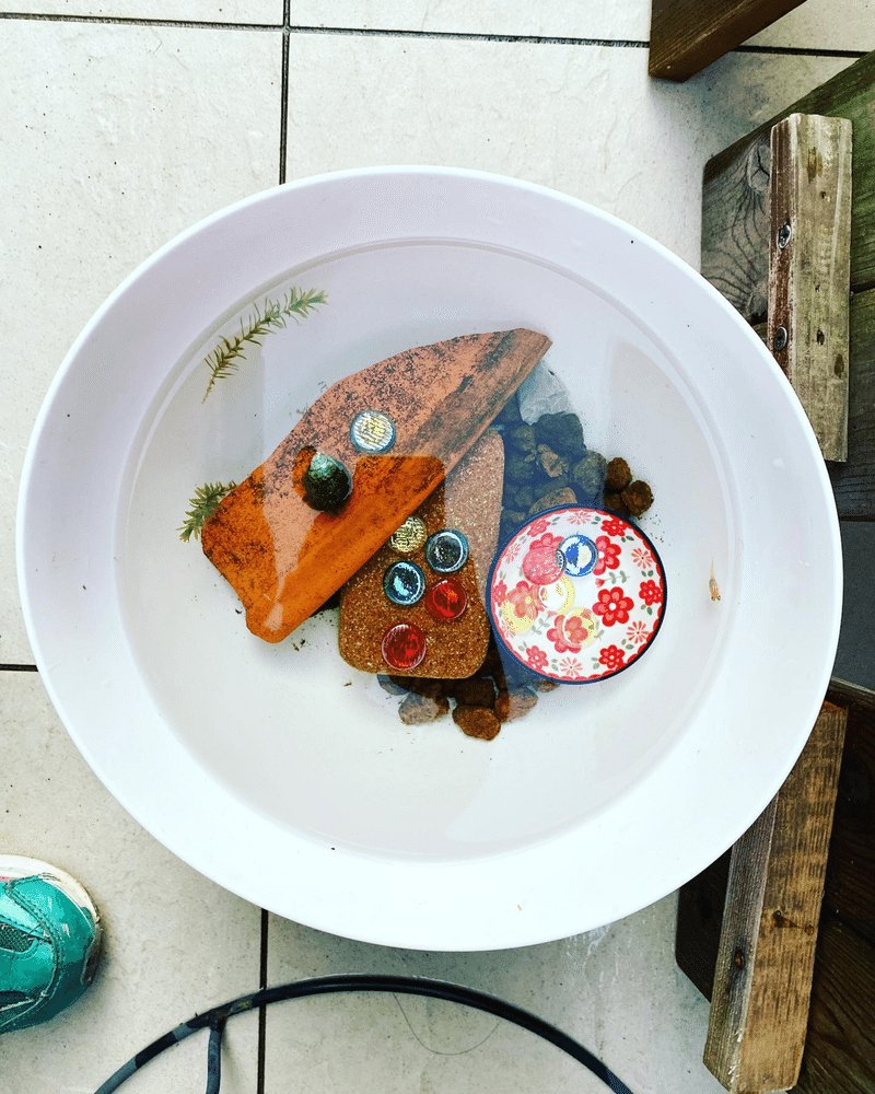 【メダカ】ビオトープのレイアウト変更｜shimpei ito｜note