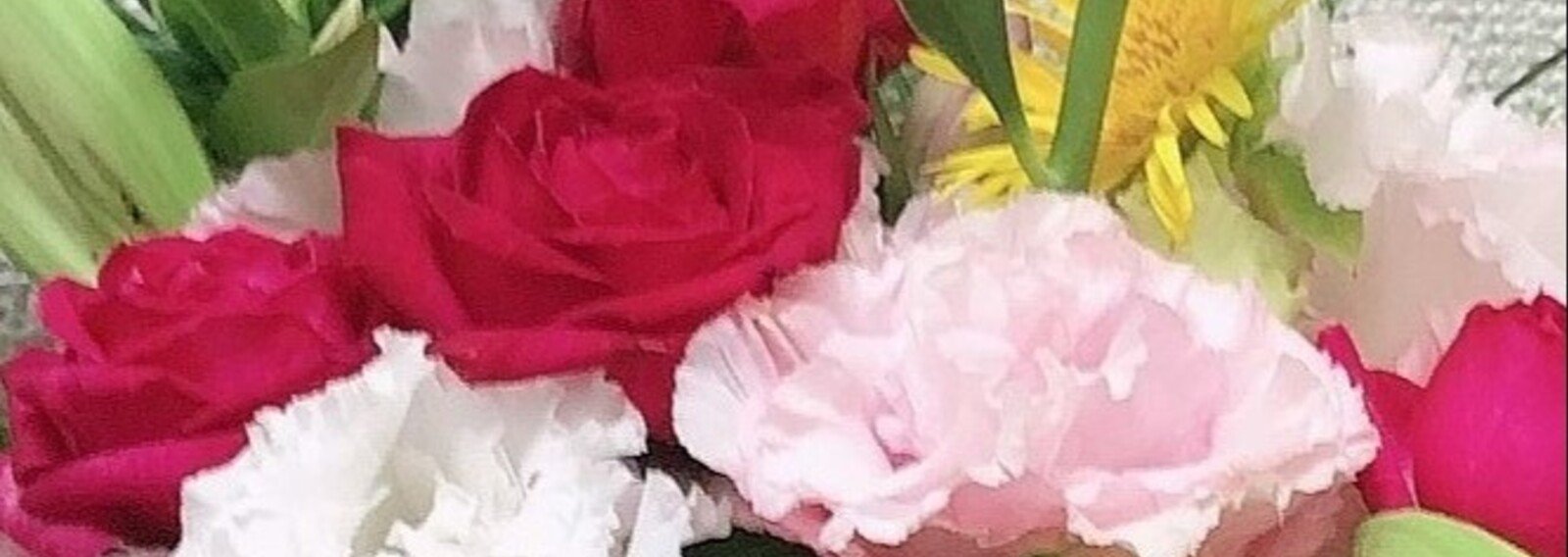 ayano_leizen 冷泉文野｜note