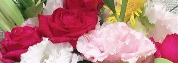 ayano_leizei 冷泉あやの｜note