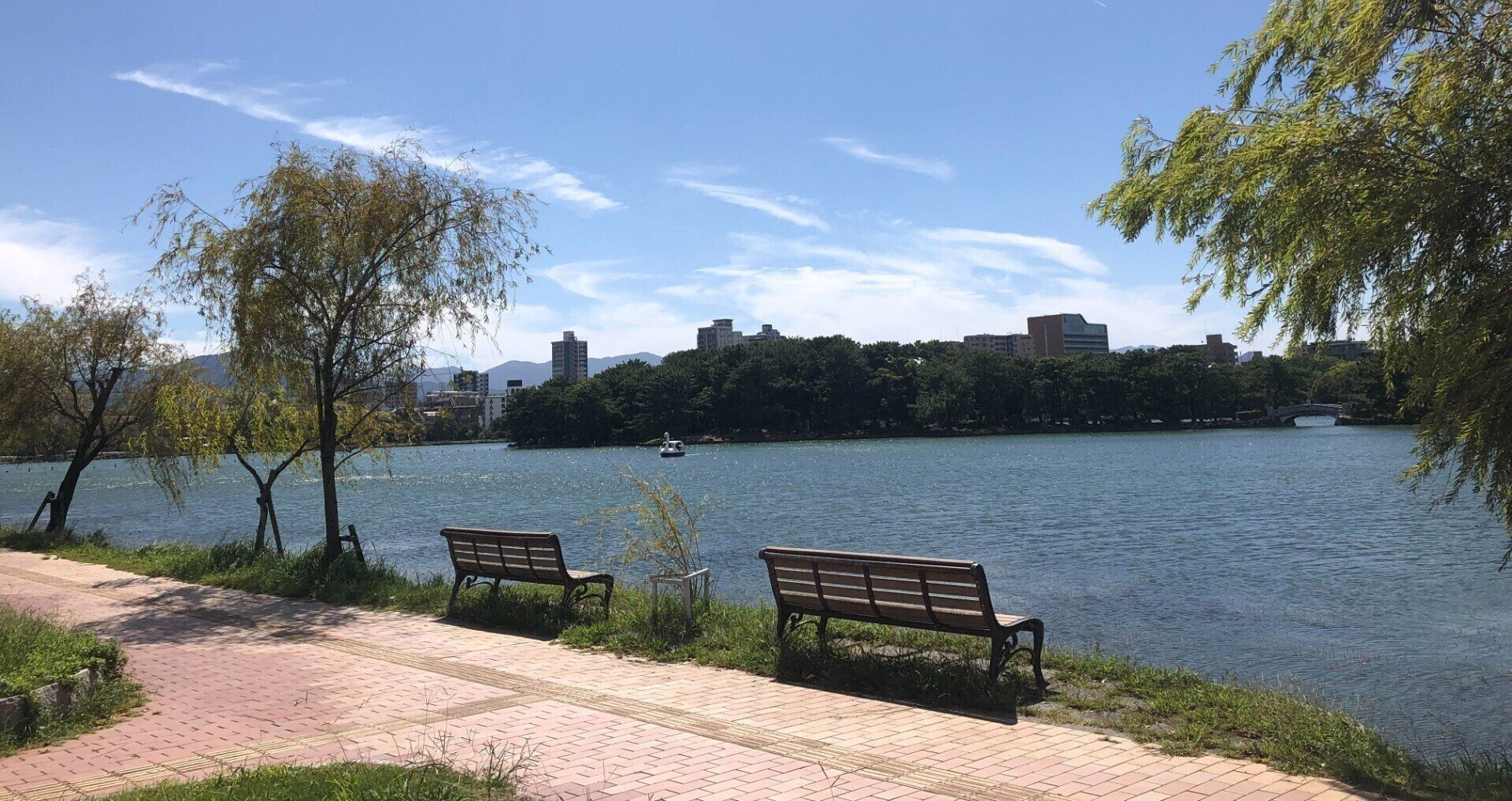 かおり@SHElikes｜note