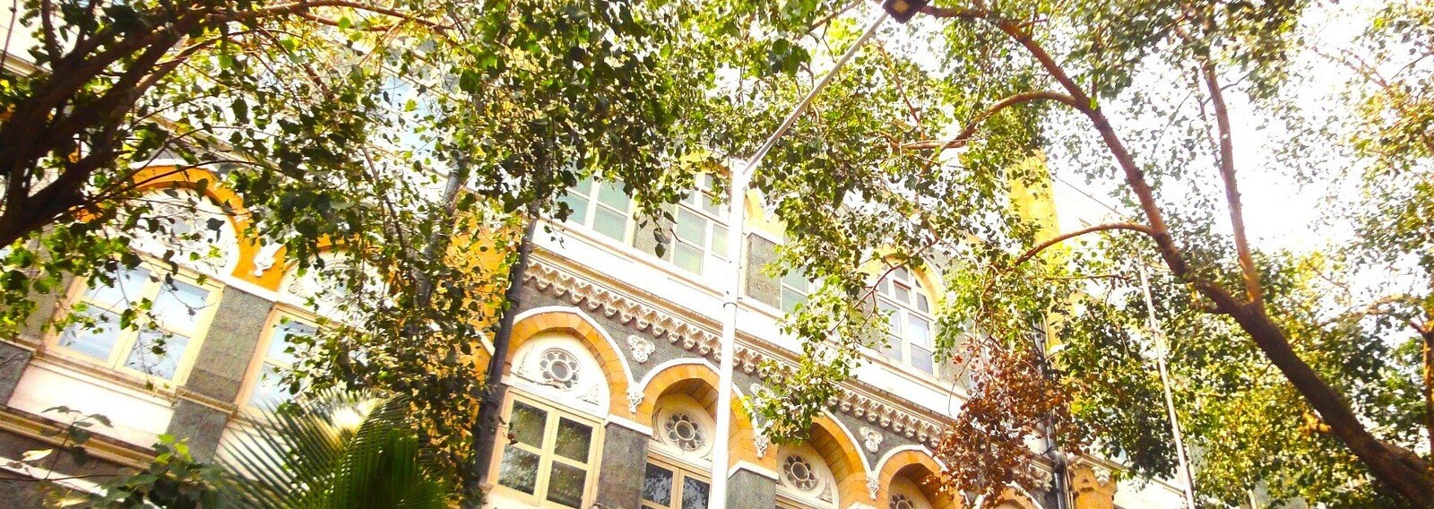 ayano_leizen 冷泉文野｜note