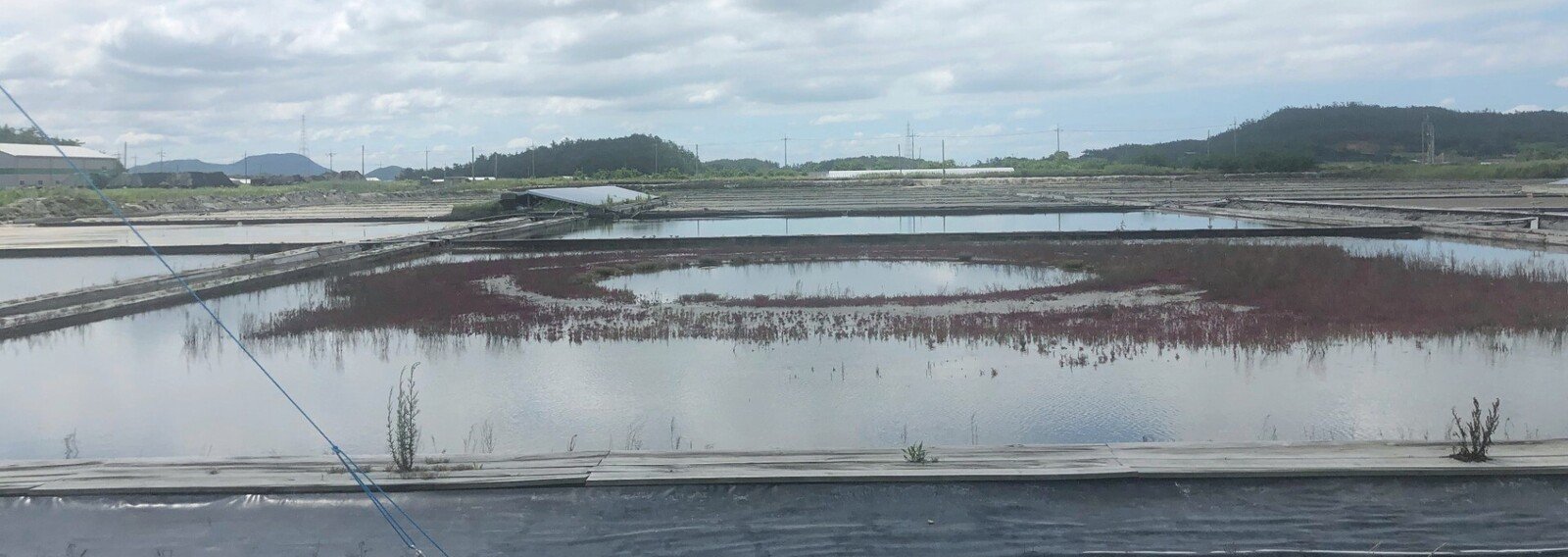 CALSEED®【公式】｜note