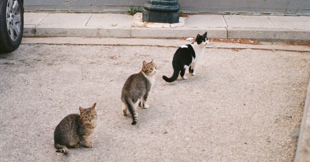 noteでの出会い｜THE LATTE TOKYO 店主｜note