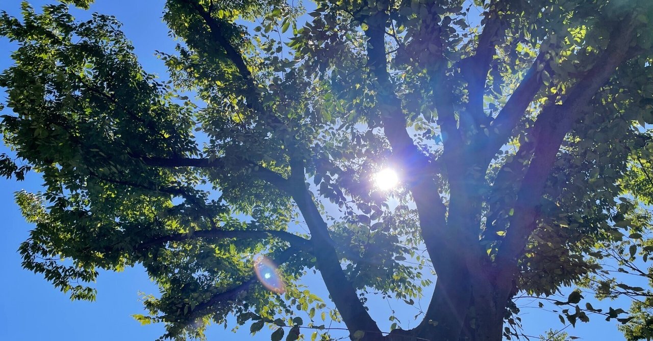 【詩】自由｜ayano_leizen 冷泉文野｜note