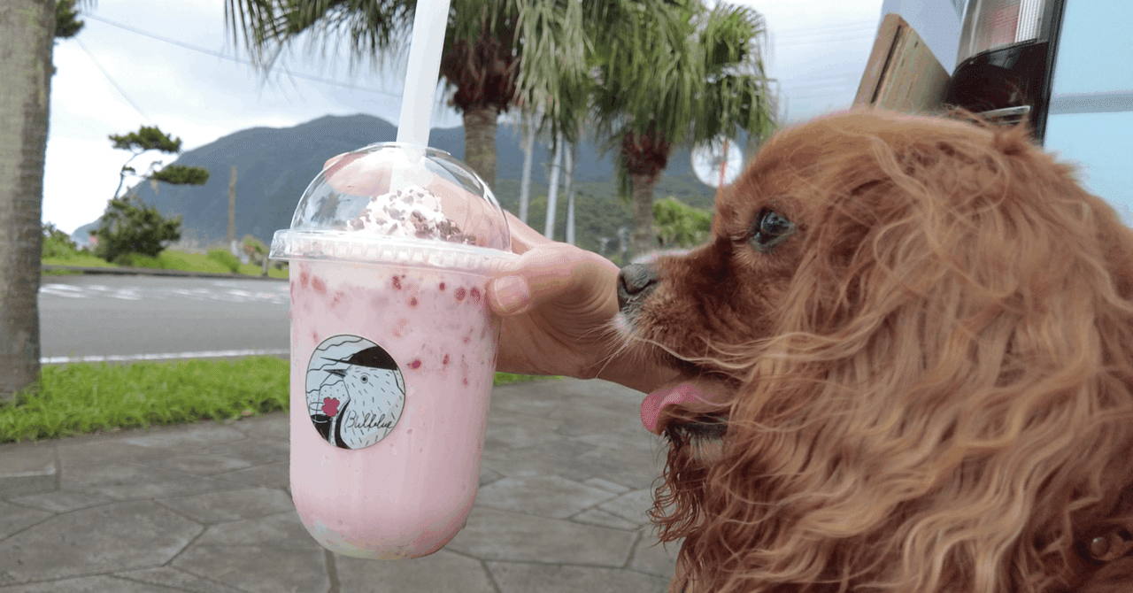 Bulblue/黄八丈/島のファミレス〜八丈島日記24〜｜さとう まみ