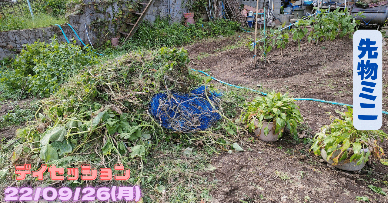 体重、停滞からの底割れ｜市場の闇に舞い降りた雀ゴロNOB氏のリアルタイム225先物ミニ 大動脈解離からの復活を目指す‼