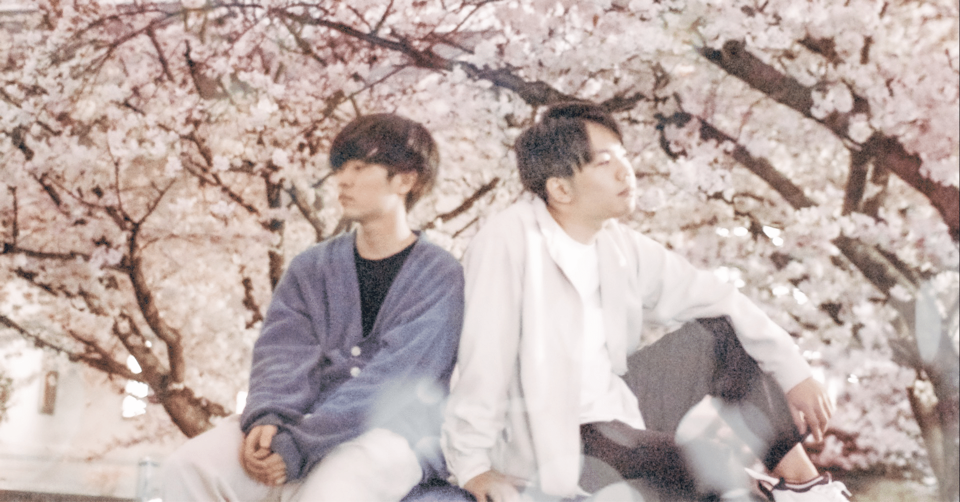 hanarebanare_kashi｜note