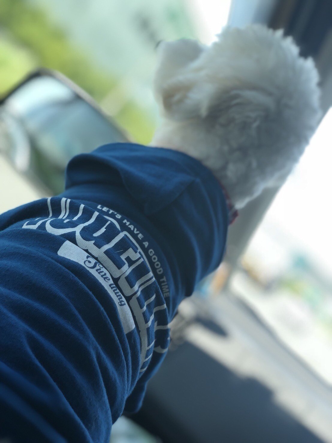 橋岡和樹(hassy)｜note