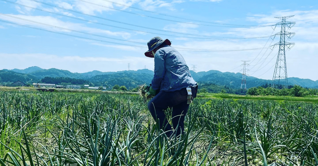 日本とニュージーランドのWWOOFの違い｜eri｜note