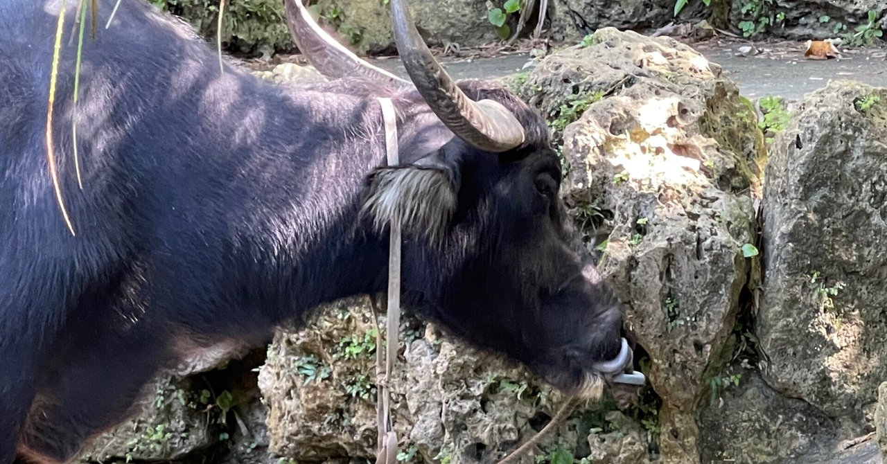 20220923 ビオスの丘（うるま市）｜前田海香子