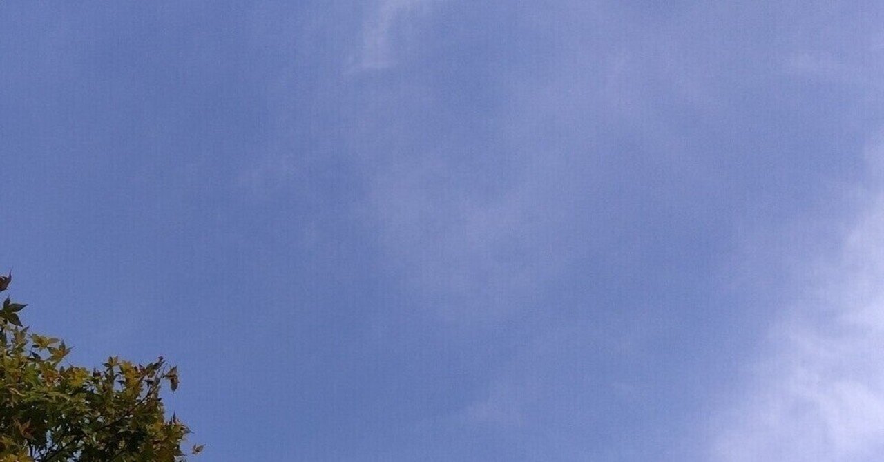 ☆9/27 児島9R 15:06｜みるく