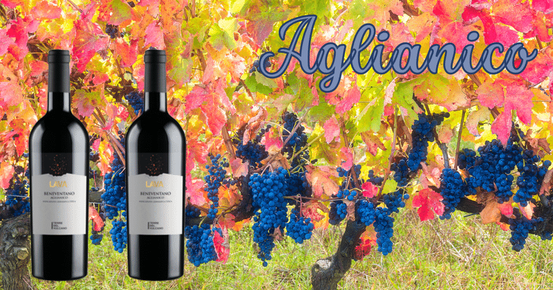 アリアニコ｜AlcotradeTrust