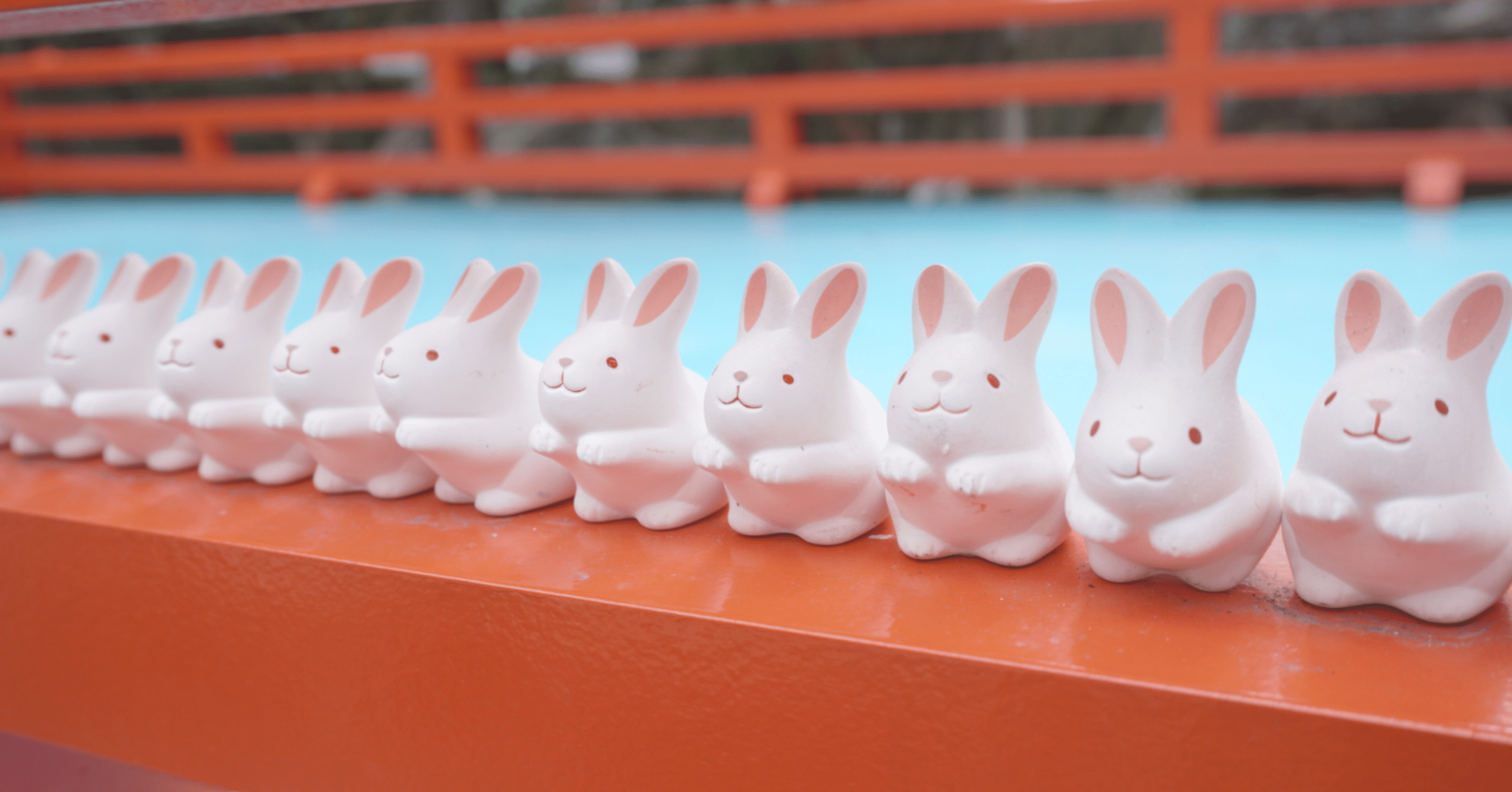 rabbit_clinic｜note