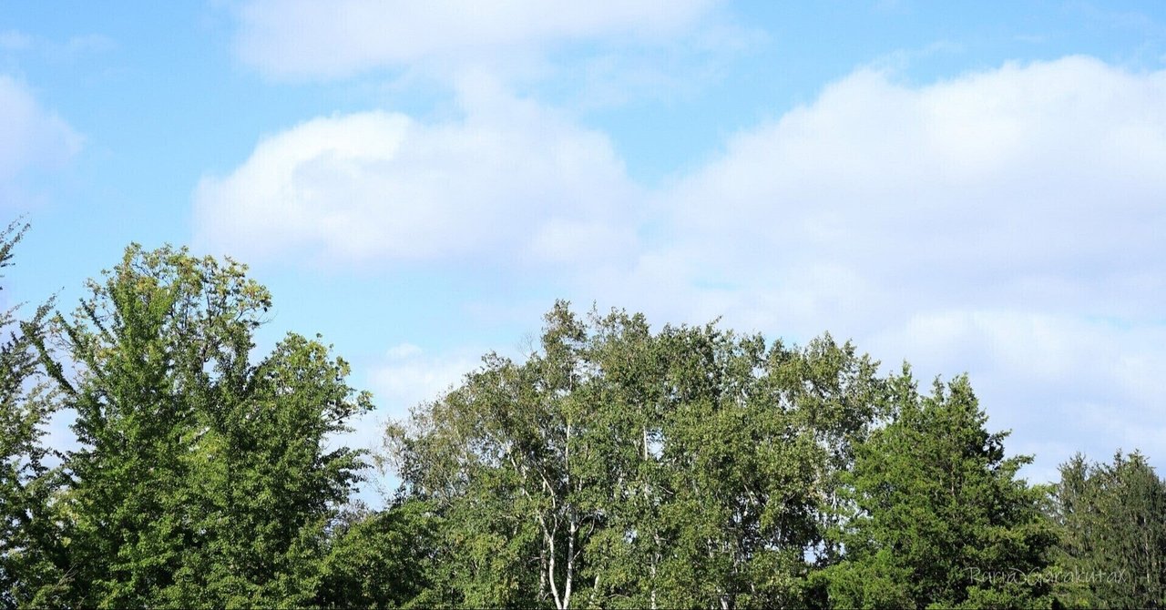 ☆9/28 平和島5R 12:53☆｜みるく｜note