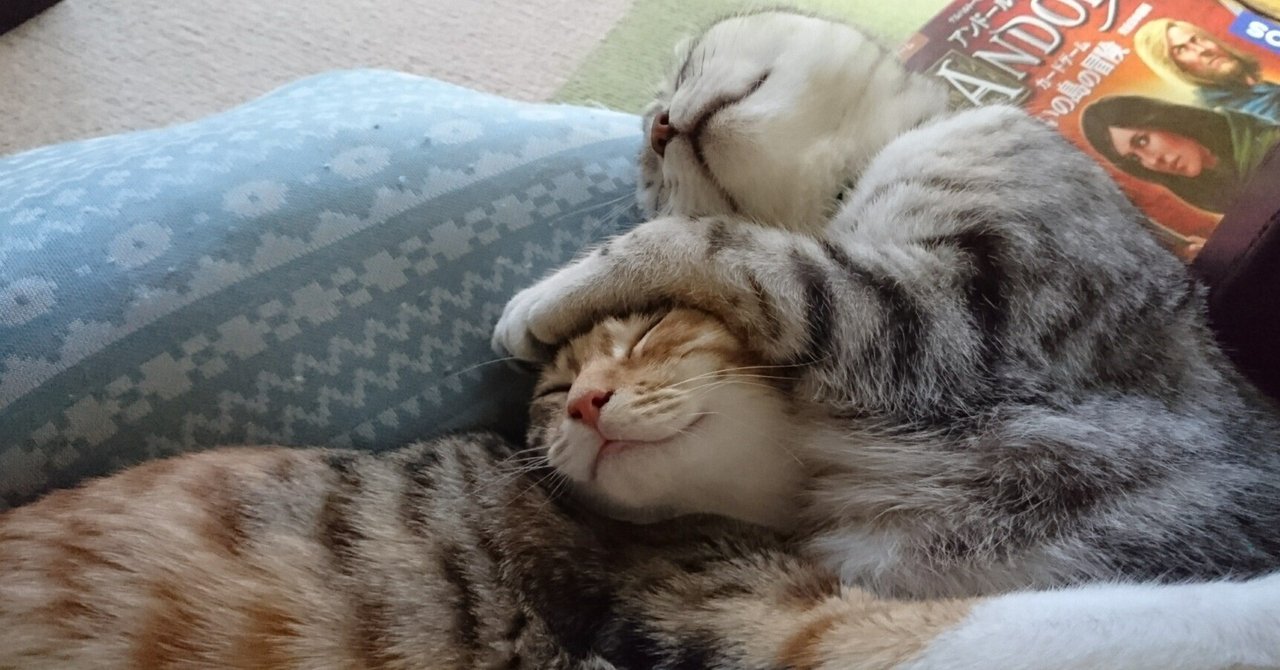 奇跡講座WB実践88 復習75、76｜(Linp&Ruru)本当の自分を知り、本当の自分として生きる