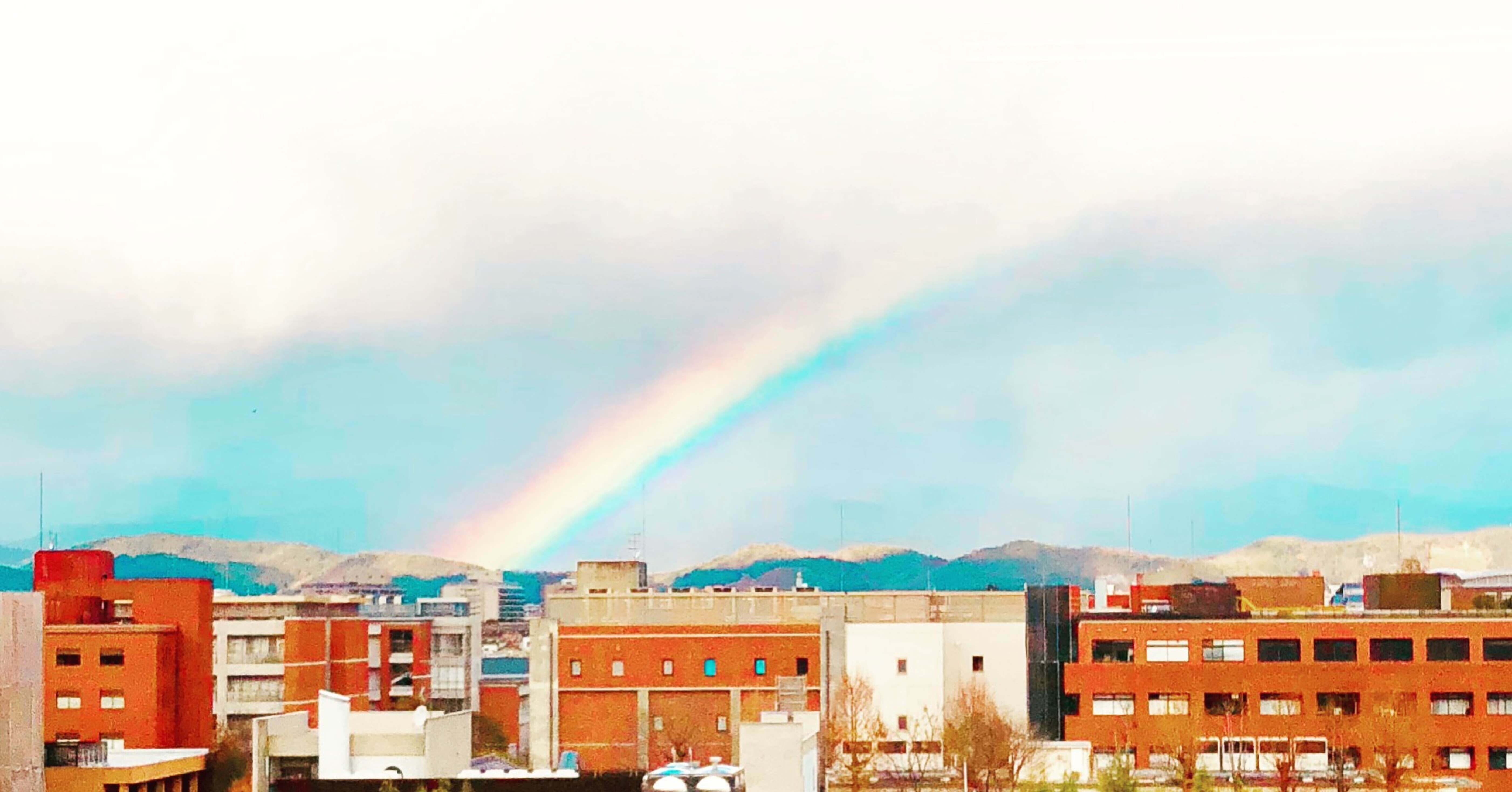 yukiko inokuchi｜note