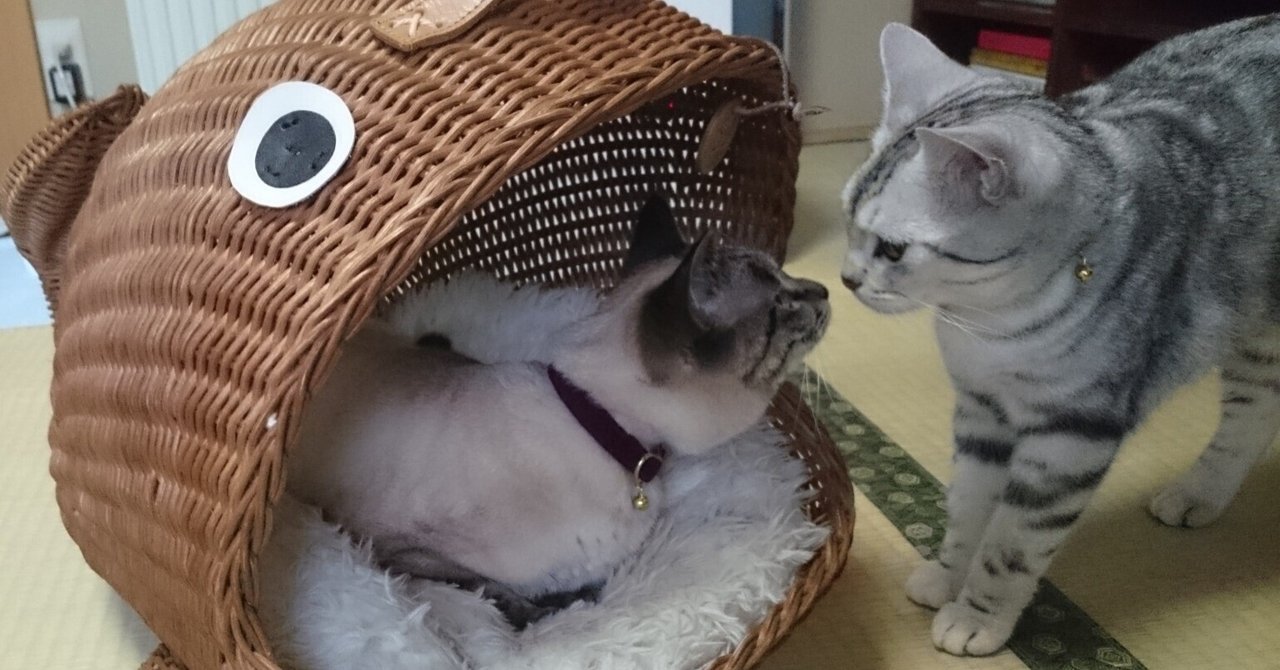 奇跡講座WB実践89 復習77、78｜(Linp&Ruru)本当の自分を知り、本当の自分として生きる